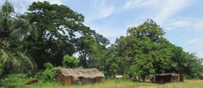 A Short Guide to Carbon Offsets | Ethical Consumer