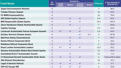 Ethical Investment Funds | Ethical Consumer