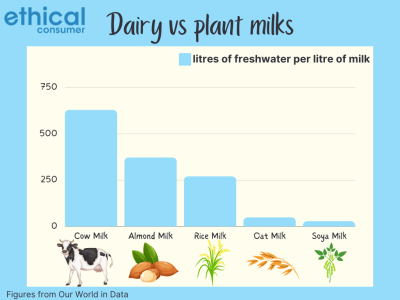 Plant based milks versus dairy milk | Ethical Consumer