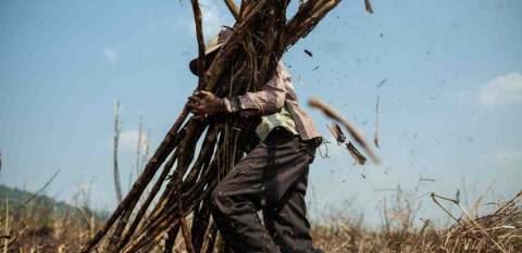 Boycotts List | Ethical Consumer