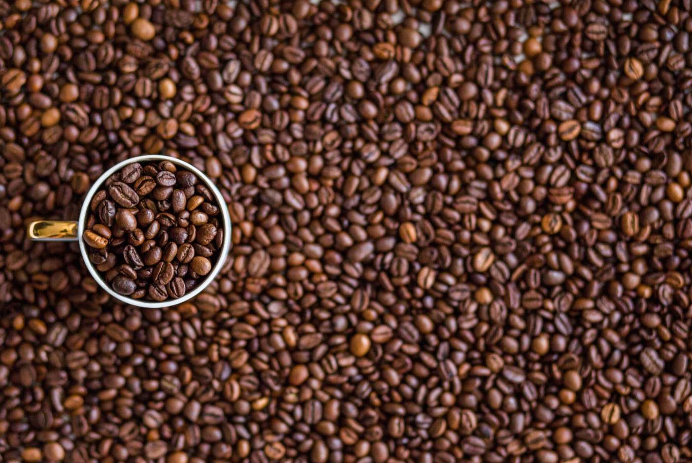 Ethical Coffee & Coffee Beans | Ethical Consumer