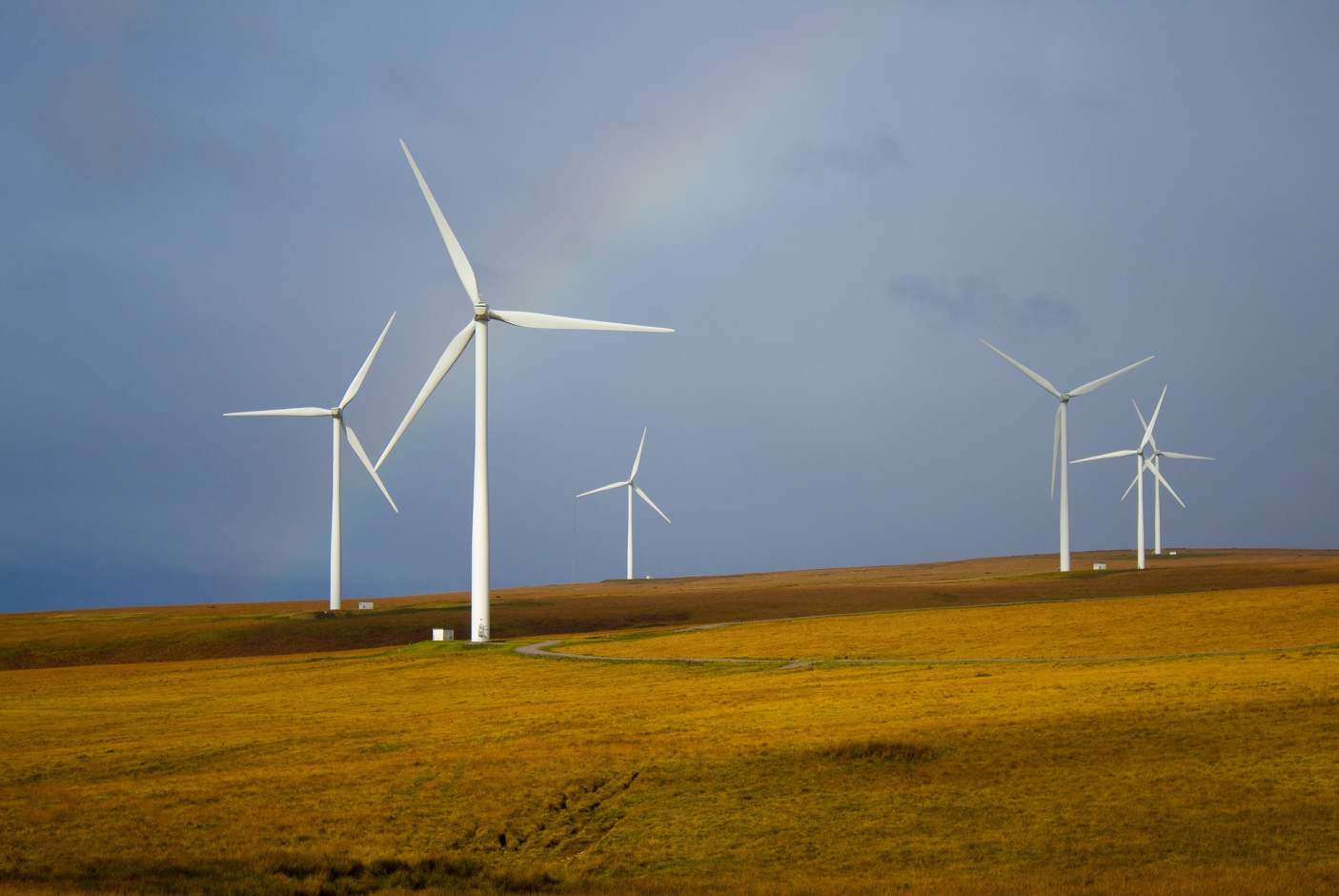 Eco-friendly energy companies | Ethical Consumer
