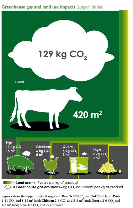Climate impact of meat, vegetarian and vegan diets | Ethical Consumer