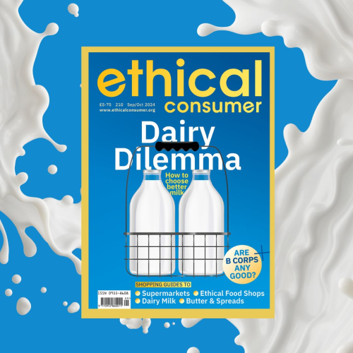 Ethical Consumer Instagram links | Ethical Consumer